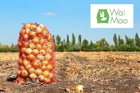 Об особенностях бизнеса в Китае рассказывает клиент 1C-WiseAdvice ...